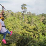 Angkor Zipline Eco-Adventure Canopy Tour - The Value of Safety and Education