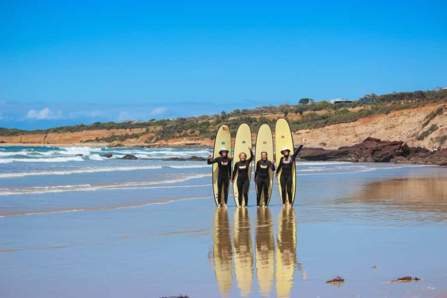 Anglesea: 2 Hour Surf Experience on the Great Ocean Road - Why This Tour Offers Fantastic Value