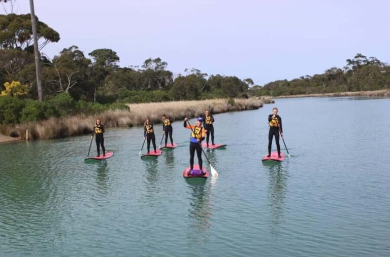 Anglesea: Stand-Up Paddleboard Lesson on the River - What to Expect During the Paddleboard Lesson