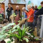 Animals of Aotearoa Wellington Zoo Tour - Why It’s a Good Choice