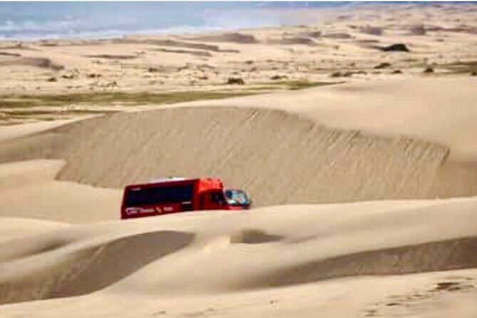 Anna Bay and Nelson Bay NSW tours like Dubai safari experience - Evaluating Value: Is It Worth the Price?