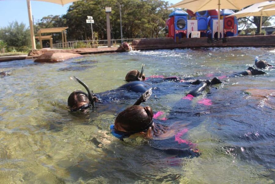 Anna Bay: Irukandji Entry + Coastal Currents Snorkel - Practical Details for Visitors