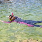 Anna Bay: Irukandji Entry Pass with Reef Shark Snorkel - Who This Tour is Best For