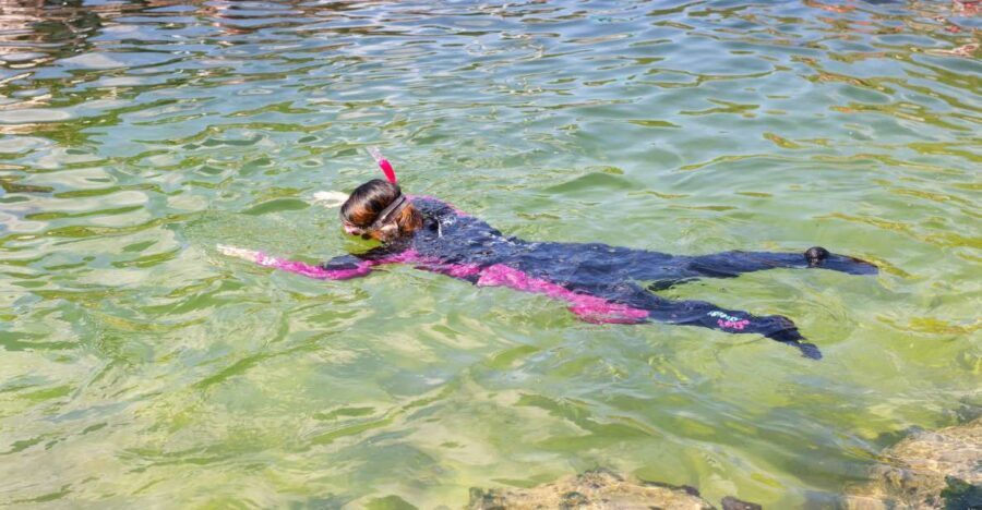 Anna Bay: Irukandji Entry Pass with Reef Shark Snorkel - Who This Tour is Best For