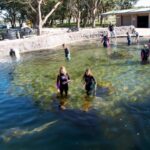 Anna Bay: Irukandji Entry Pass with Shallows Encounter - Practical Considerations