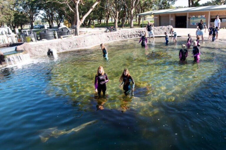 Anna Bay: Irukandji Entry Pass with Shallows Encounter - Practical Considerations