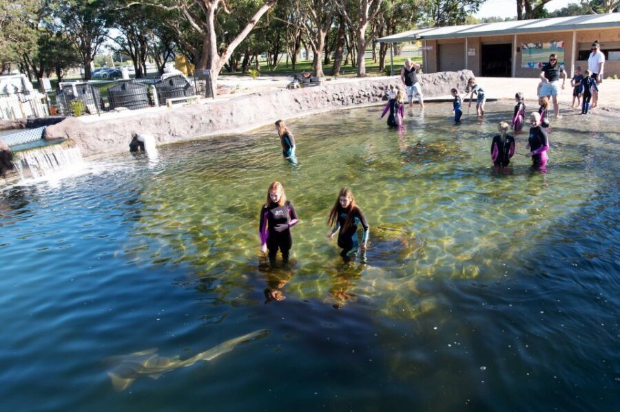 Anna Bay: Irukandji Entry Pass with Shallows Encounter - Practical Considerations