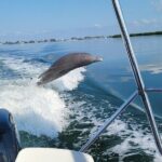 Anna Maria Island Dolphin Sightseeing Adventure - Practical Details: Timing, Group Size, and What to Bring