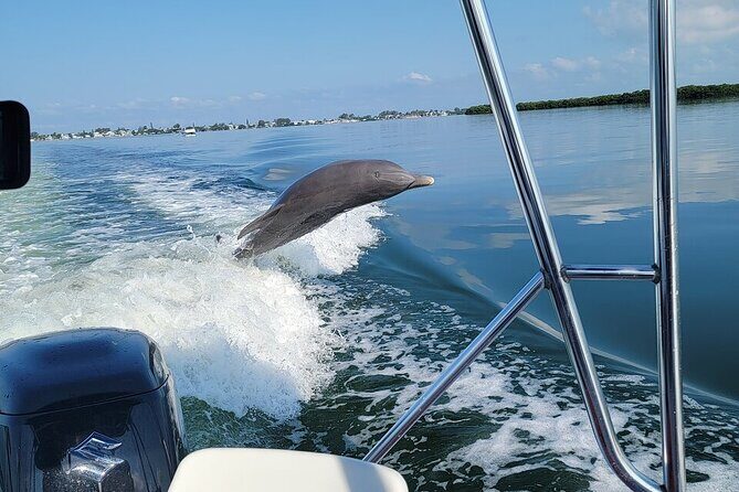 Anna Maria Island Dolphin Sightseeing Adventure - Practical Details: Timing, Group Size, and What to Bring