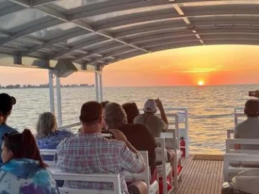 Anna Maria Island: Sunset Dolphin Cruise - What to Expect from This Sunset Cruise