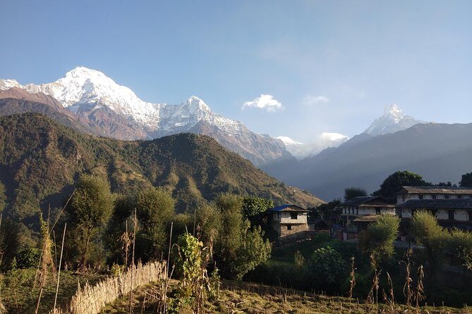 Annapurna Base Camp Private Guided Trek - Authentic Feedback and Insights