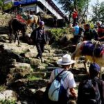Annapurna Base Camp trek - An Introduction to the Trek: What’s It All About?