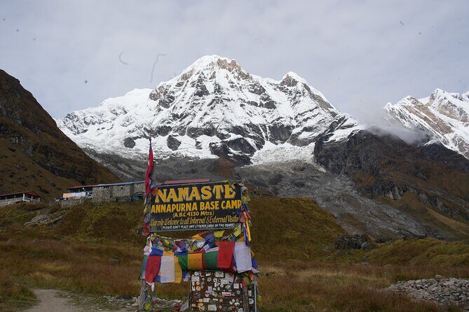 Annapurna Base Camp Trek - What Travelers Say: Authentic Experiences and Practical Tips