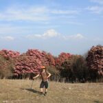 Annapurna Poon Hill Trekking - 4 Days from Pokhara - Authentic Experiences and Traveler Insights
