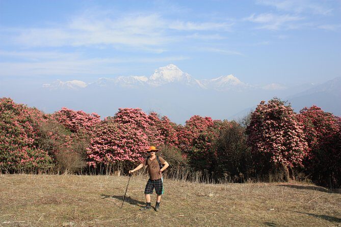 Annapurna Poon Hill Trekking - 4 Days from Pokhara - Authentic Experiences and Traveler Insights
