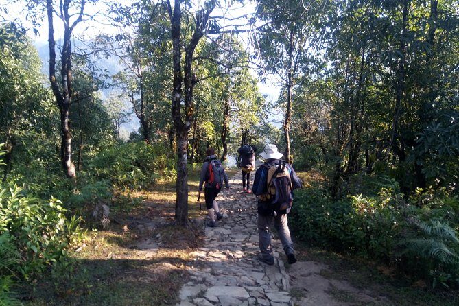 Annapurna Sunrise Trek - The Experience of the Trekking Days