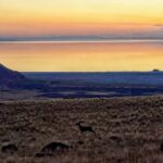 Antelope Island Wildlife Expedition Great Salt Lake Adventure - Who Will Love This Tour?