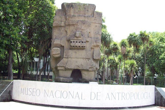 Anthropology Museum Private Experience Walking Tour - The Itinerary: What to Expect