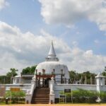 Anuradhapura Buddhist Icons Tour from Sigiriya - Who Should Consider This Tour?