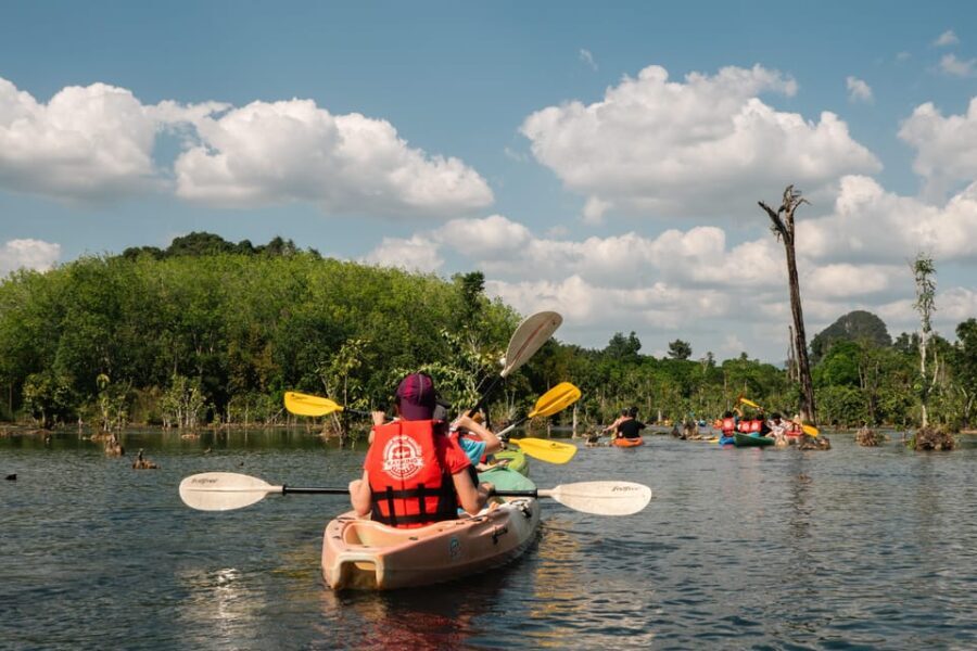 Ao Nang Kayak Adventure: Explore the Stunning Flooded Forest - The Itinerary — What You Can Expect