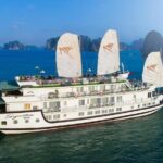 Aphrodite Cruise 2-day Explore Halong Bay from Hanoi - What Makes This Cruise Stand Out