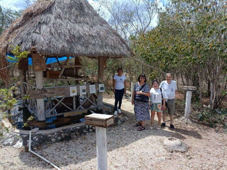 Apiary Tour (Bee tour) also Archeological site and salt Pond - Who Will Love This Tour?