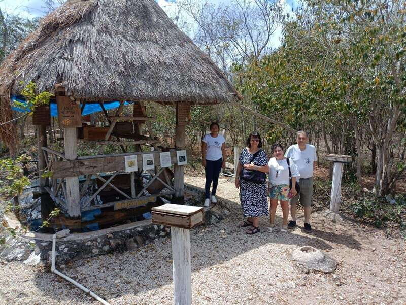 Apiary Tour (Bee tour) also Archeological site and salt Pond - Who Will Love This Tour?