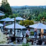 Apple Hill/Carson Road Digital Wine Tasting Passport - Breakdown of the Experience