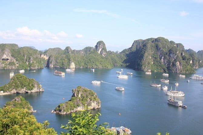 Apricot Cruise Tour 3 Days Explore Ha Long bay from Hanoi - Day 3: Final Morning at Halong Bay