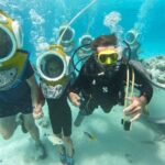 Aquablue Moorea - Marine Encounters and Highlights