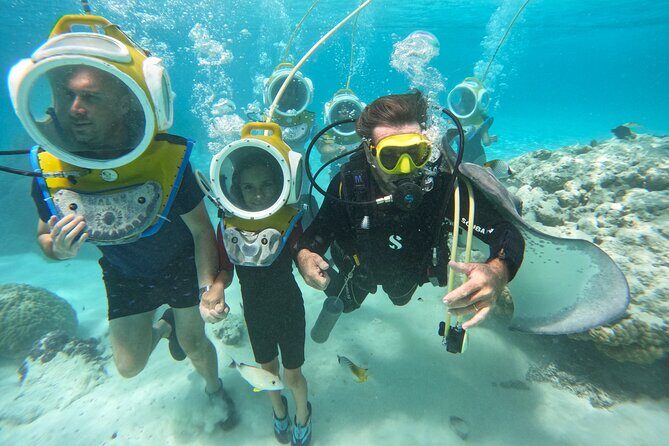 Aquablue Moorea - Marine Encounters and Highlights