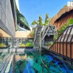 Aquarium Phuket and AR Trick Eye Museum Combo Tickets - The Aquarium Phuket Experience