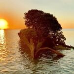 Aquascene Magnetic Island Sunset & Shipwreck Tour - Value and Practical Considerations