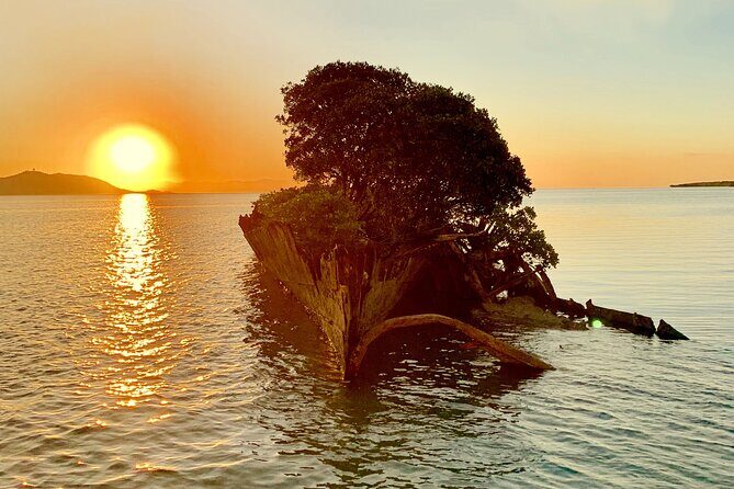 Aquascene Magnetic Island Sunset & Shipwreck Tour - Value and Practical Considerations