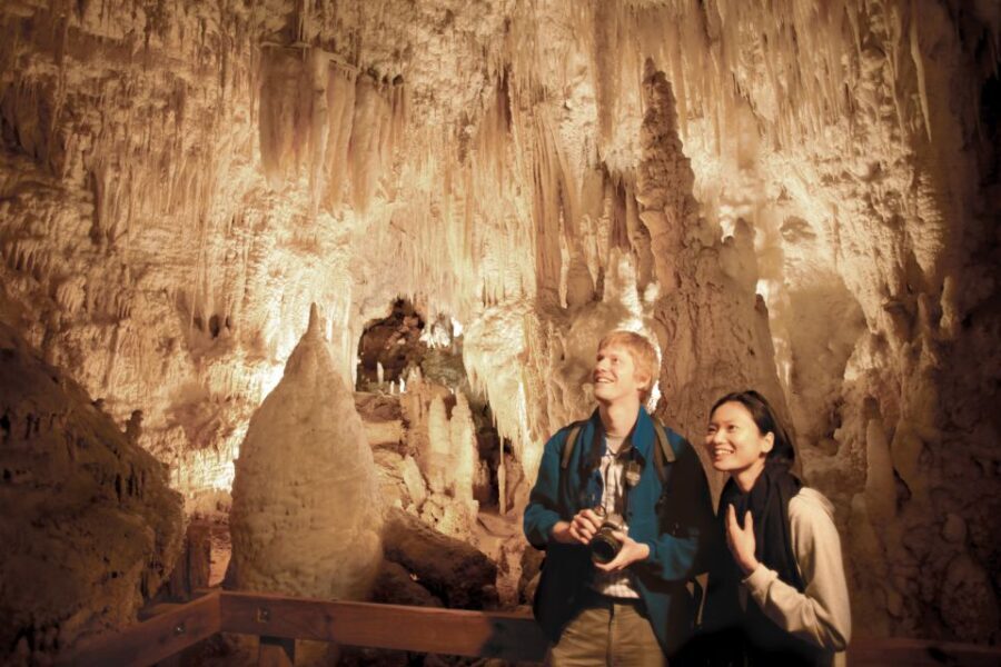 Aranui Cave 1-Hour Guided Tour - Why This Tour Matters for Your Trip