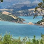 Arataki Conservation - our Journey to Protect our Whenua (land) - The Balance of Cost and Value