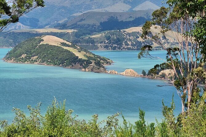 Arataki Conservation - our Journey to Protect our Whenua (land) - The Balance of Cost and Value