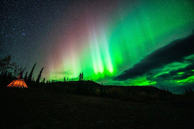 Arctic Day: Aurora Viewing Tour | late night - Who Should Consider This Tour?