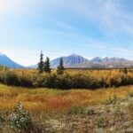 Arctic Day: Kluane National Park Tour | full day - Making the Most of Your Day in Kluane