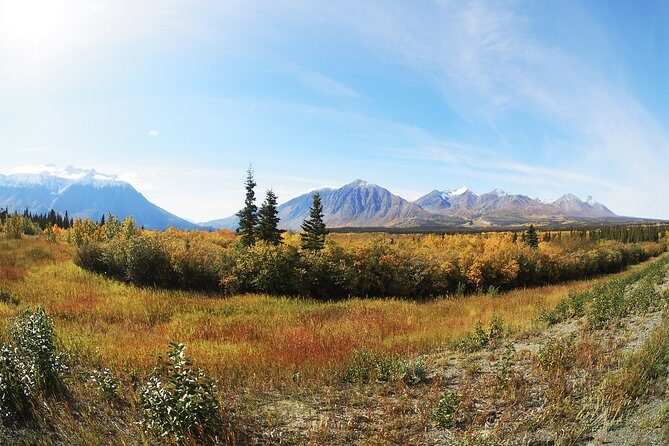 Arctic Day: Kluane National Park Tour | full day - Making the Most of Your Day in Kluane