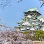 Arrival Private Transfers: Kansai Airport KIX to Osaka City in Business Car - What’s Included and How It Works