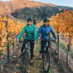 Arrowtown to Gibbston: Full-Day Bike & Wine Tour - Final Thoughts: Who Will Love This Tour?