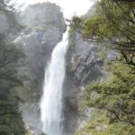 Arthurs Pass and Castle hills Private Day Trip From Christchurch - Why Choose This Tour? Key Points