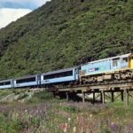 Arthur's Pass and TranzAlpine Train Day Tour from Christchurch - Authentic Feedback from Travelers