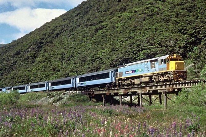 Arthur's Pass and TranzAlpine Train Day Tour from Christchurch - Authentic Feedback from Travelers