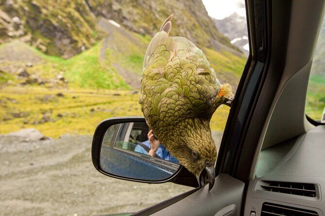 Arthurs Pass Day Tour From Christchurch With Jet Boat - Detailed Itinerary Breakdown