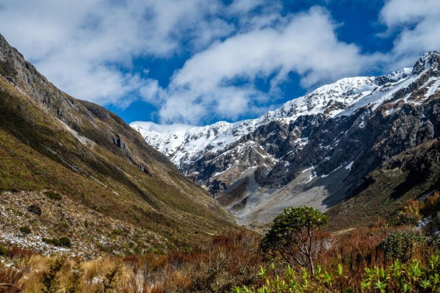 Arthur's Pass Day Tour From Christchurch with TranzAlpine - The Value of the Tour: Price and Authentic Experiences