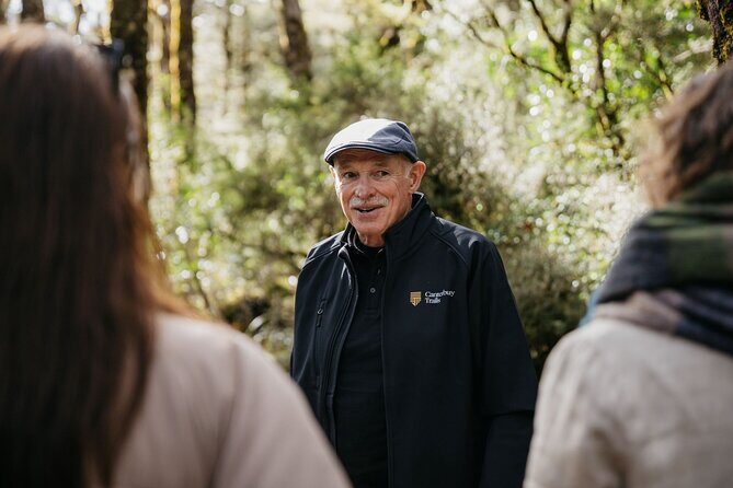 Arthur's Pass Discovery and TranzAlpine Train - Small Group Tour - Transportation and Group Experience