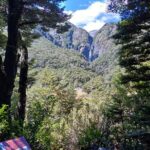 Arthurs Pass with Optional TranzAlpine Train - What You’ll Love About This Tour