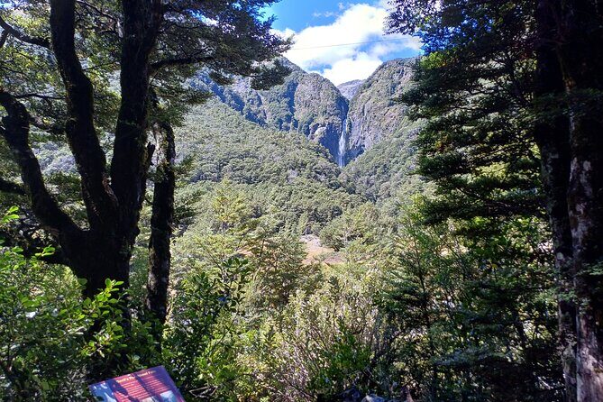 Arthurs Pass with Optional TranzAlpine Train - What You’ll Love About This Tour